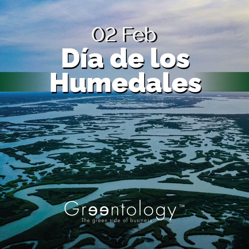 Conoce los 5 humedales más hermosos de México - Greentology